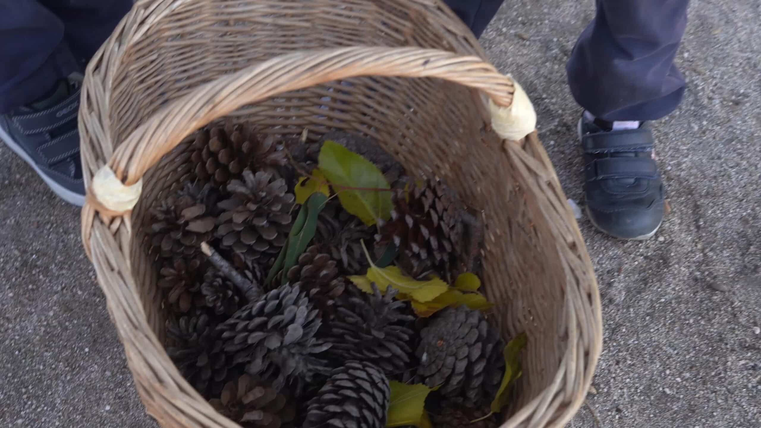 International Baccalaureate - Legamar International School